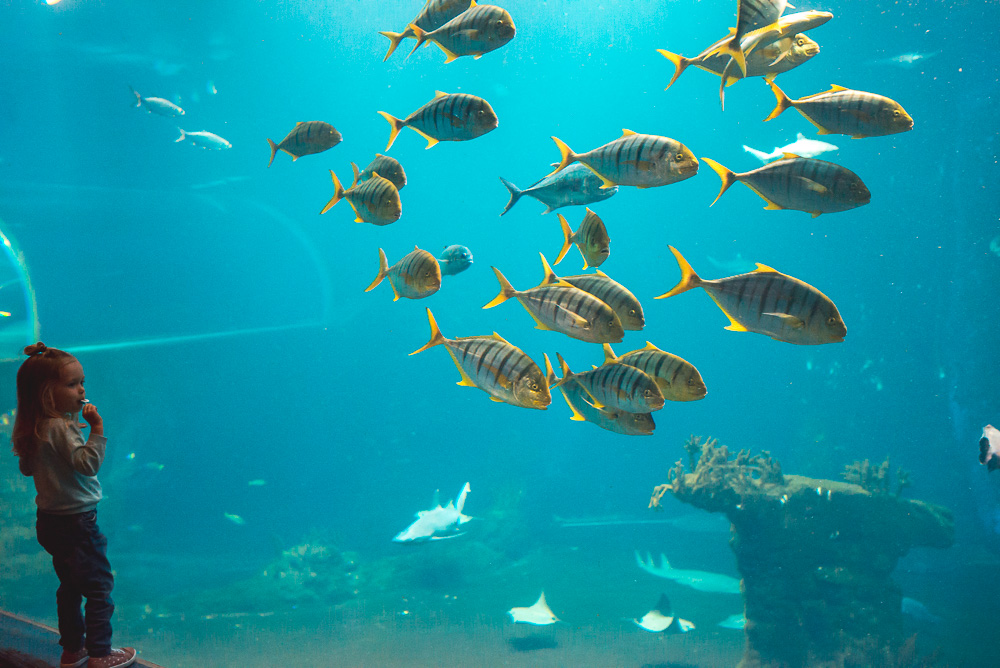 Afrykarium Wrocław